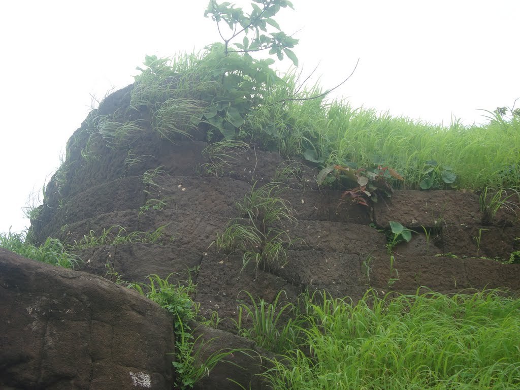 Trekking In Maharashtra: Songiri Fort a.k.a Palasdari Fort (किल्ले ...