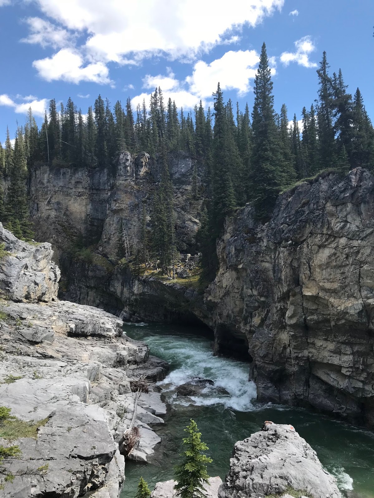 The view from here: Hummingbird Falls June 17, 2018