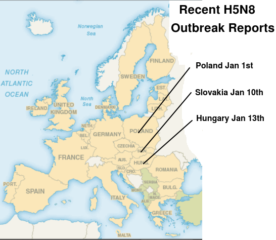 Avian Flu Diary: Hungary Reports HPAI H5N8 in Turkeys