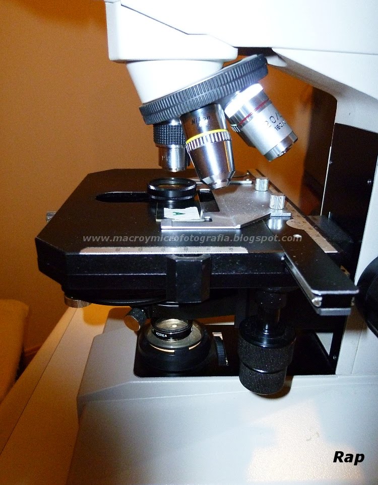 Macro y microfotografia