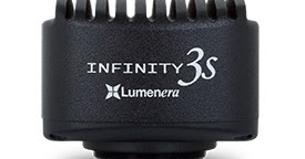 Microscope World Blog: Fluorescence Microscopy Image from Infinity 3S ...