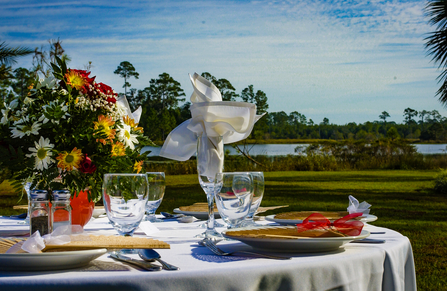 Bruce Photography: Events