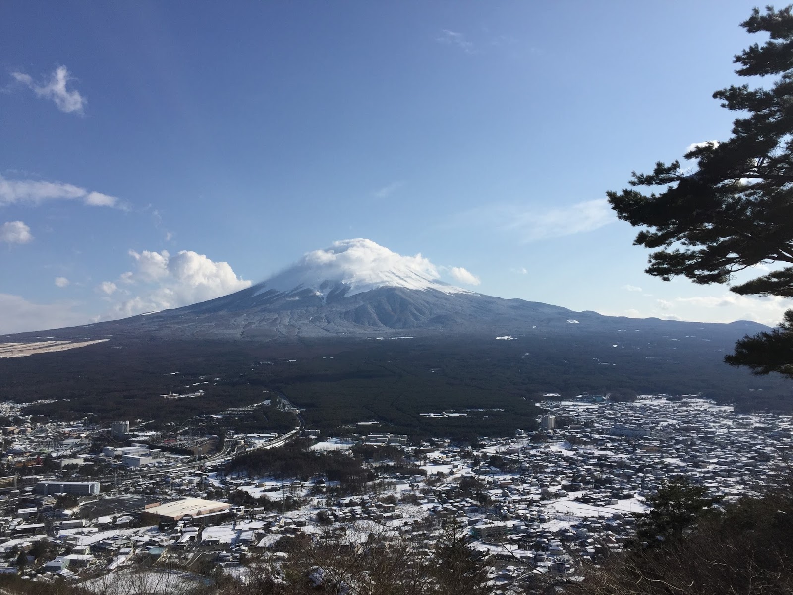 My Sweet Escape To: Expectations Vs. Reality: Japan