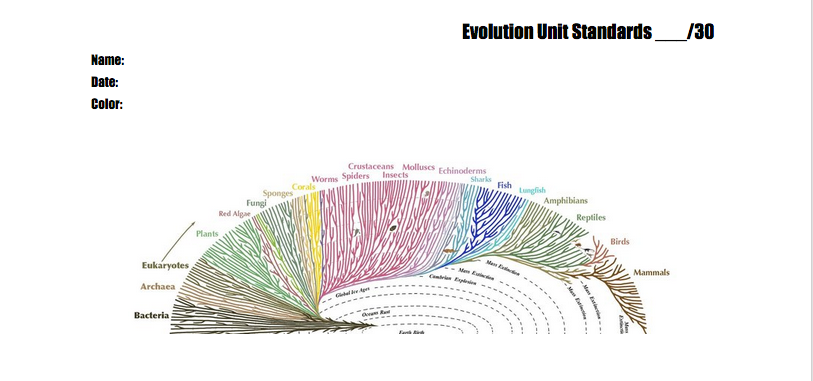 Ms Paleologo's Teaching Portfolio : Evolution