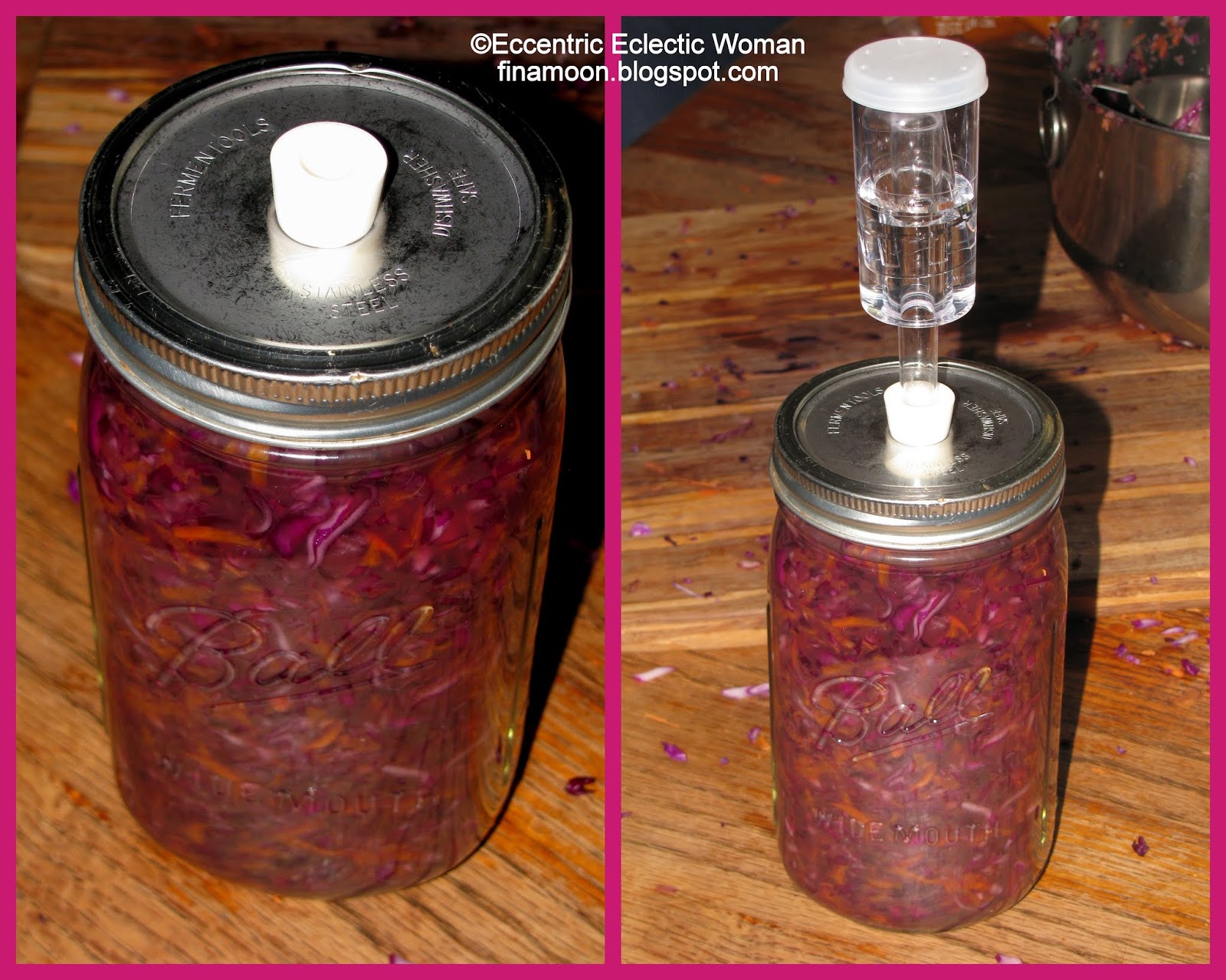 Eccentric Eclectic Woman: Fermentools' Starter Kit Review # ...