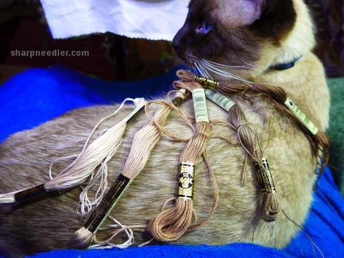 The Sharp Needler: Keeping a Kitten in Stitches