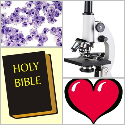 ALL THINGS WORK TOGETHER FOR GOOD...: Bible : The Microscope of Life