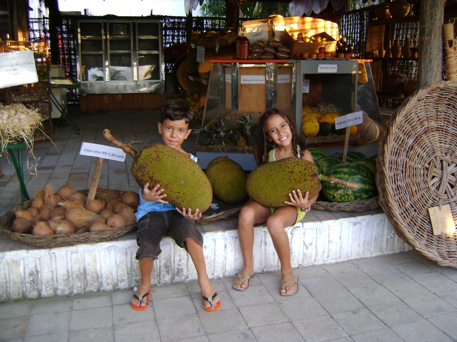 HISTÓRIA E DIVERSIDADE CULTURAL: JACA - Fruto gigante!