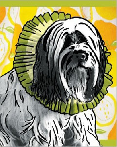 Alison Nowak Illustration Blog