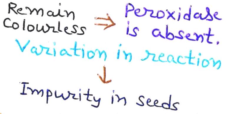 Varietal Identification through Grow Out Test and Electrophoresis ...
