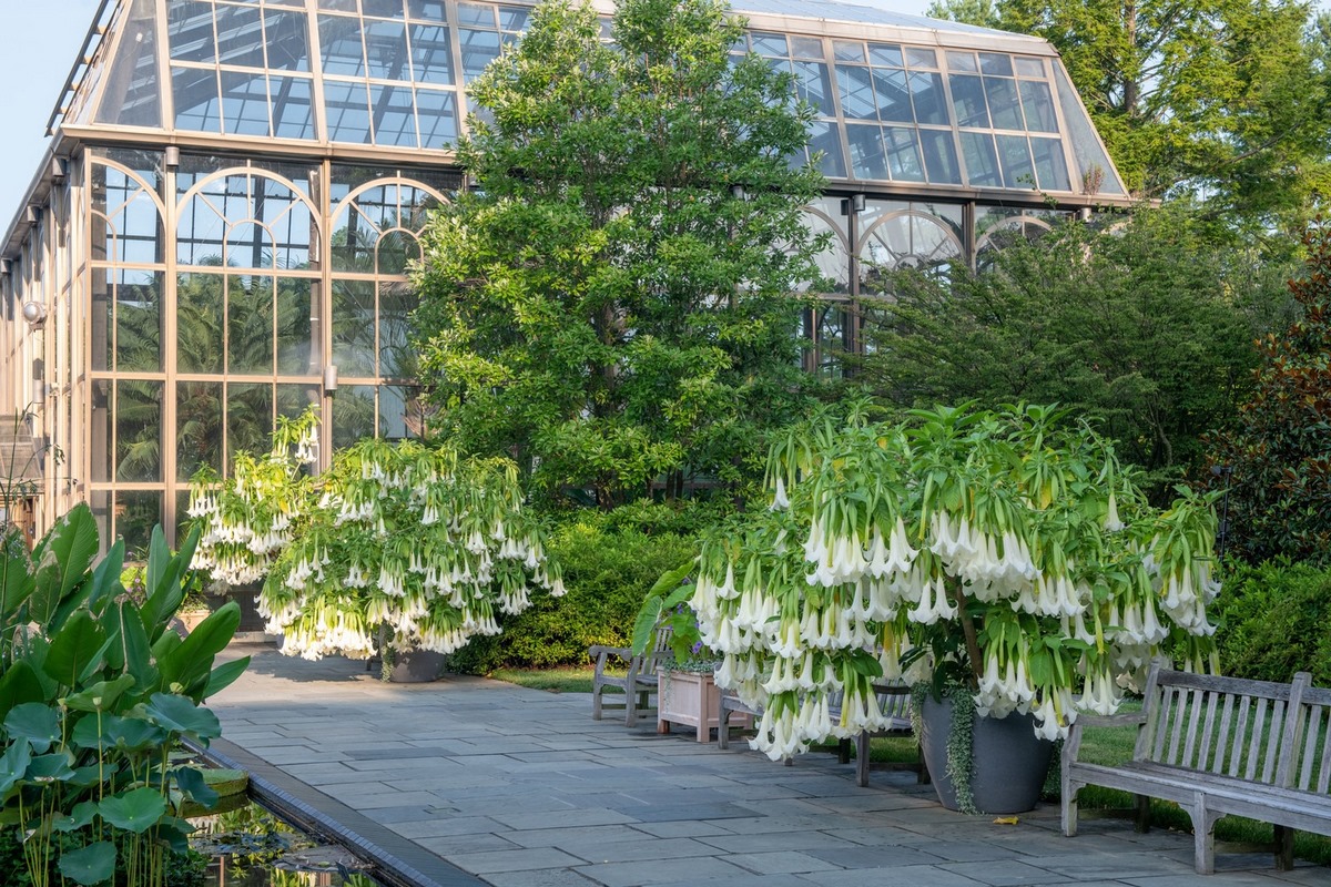 Qué es un Jardín Botánico