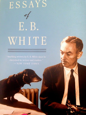 Be Still a Minute...: Wiener Wednesday...E.B. White