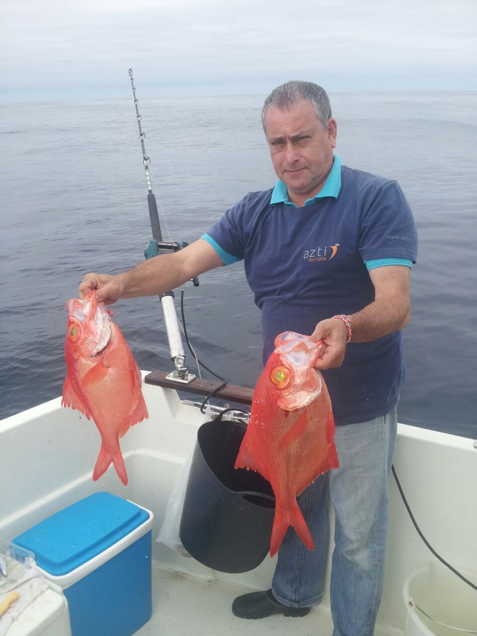 PESCA Y GASTRONOMÍA: RECETAS DE CHOPA: CHOPA AL HORNO, CHOPA A LA SAL ...