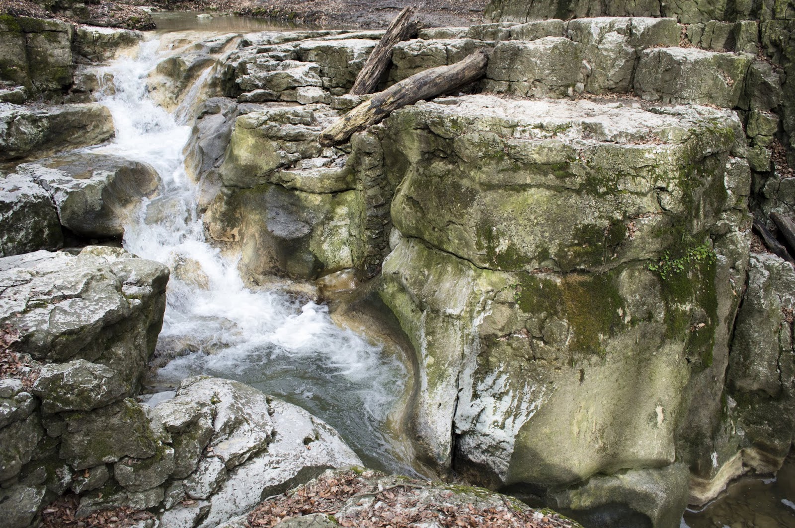 Történetek képekkel: Gumicsizmával a Gaja-patak mentén