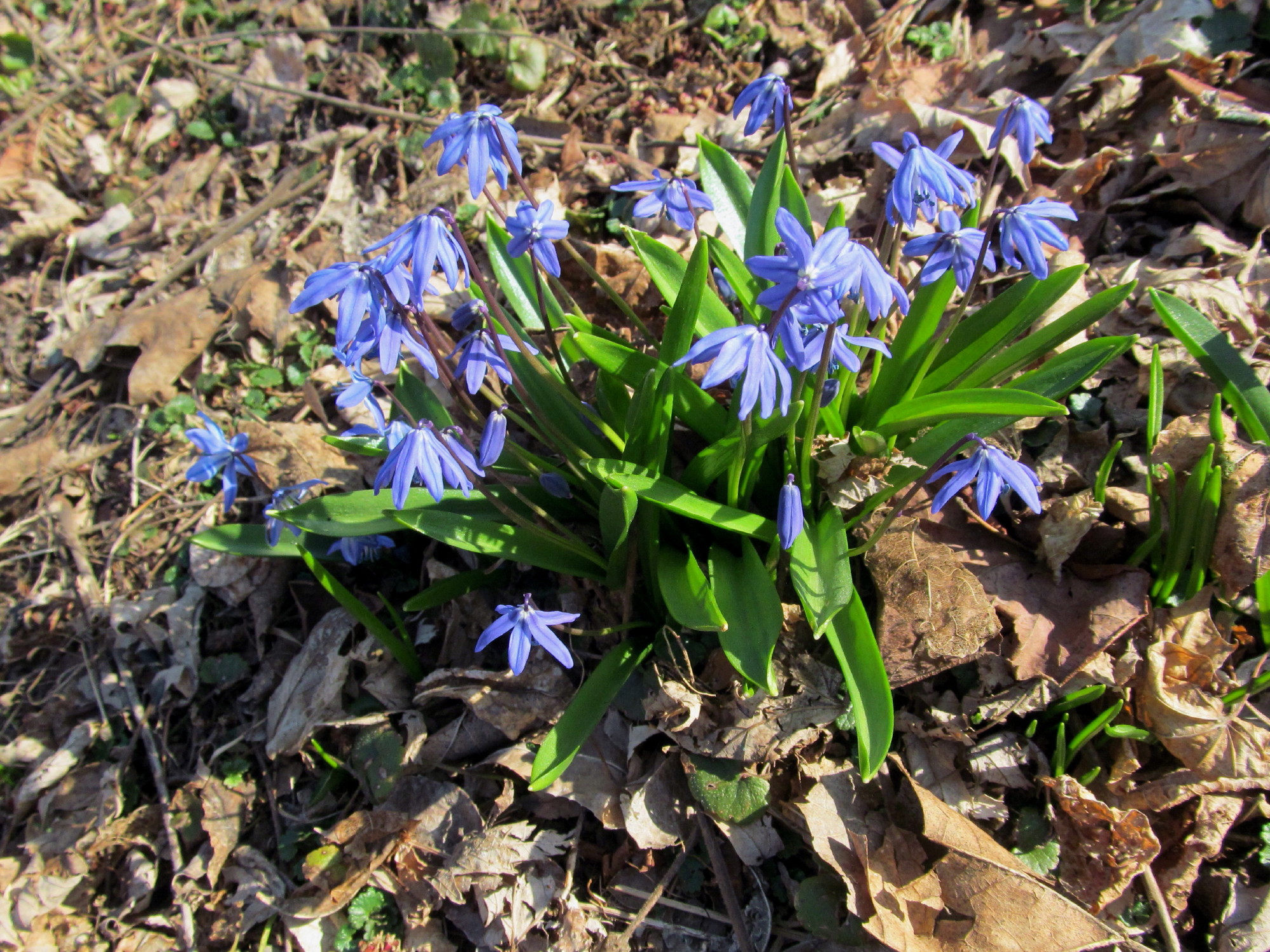 Exuberant Color : Nature walk on Easter morning...........