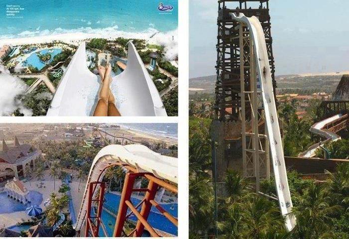 Intensive And Immense Knowledge