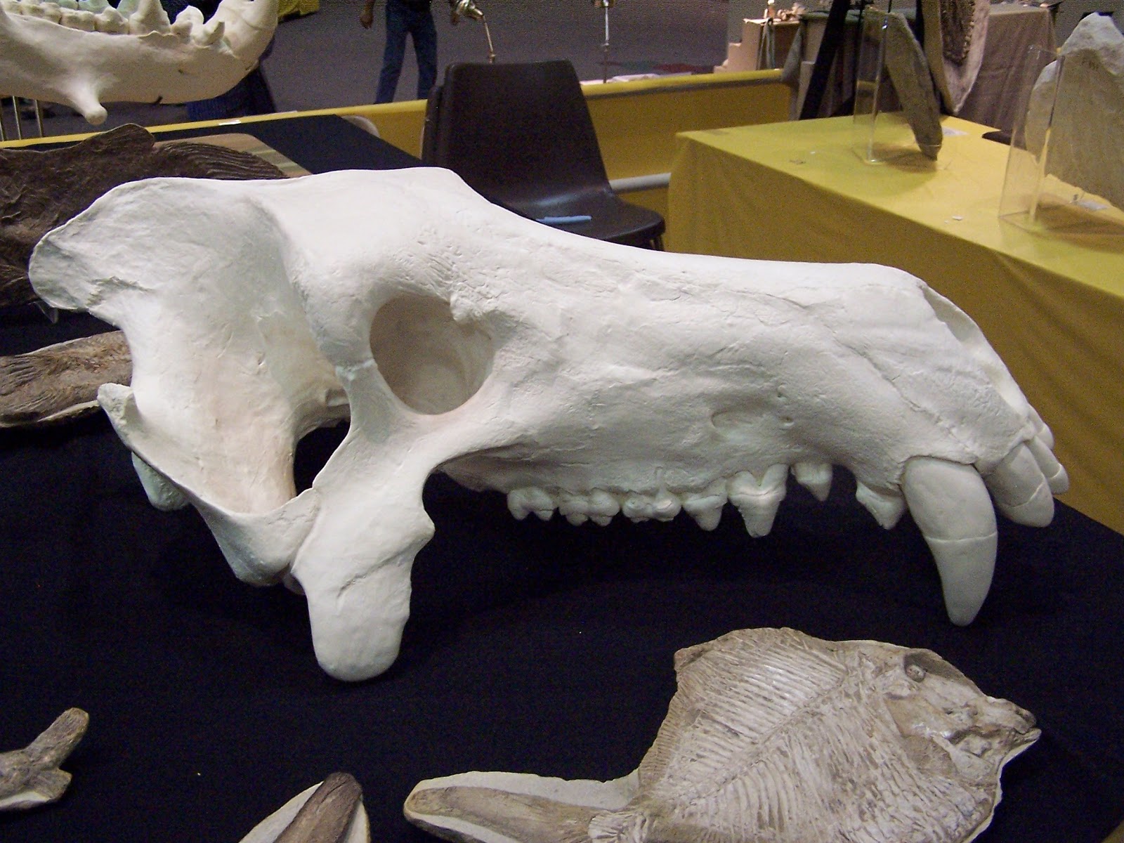 A pig from hell. : PrehistoricLife