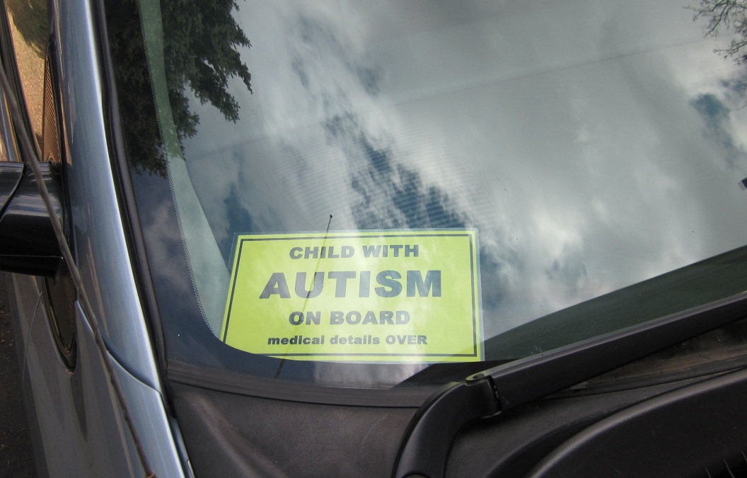 Children's Harnesses by Elaine, Inc.: Autism, Special Needs car window sign
