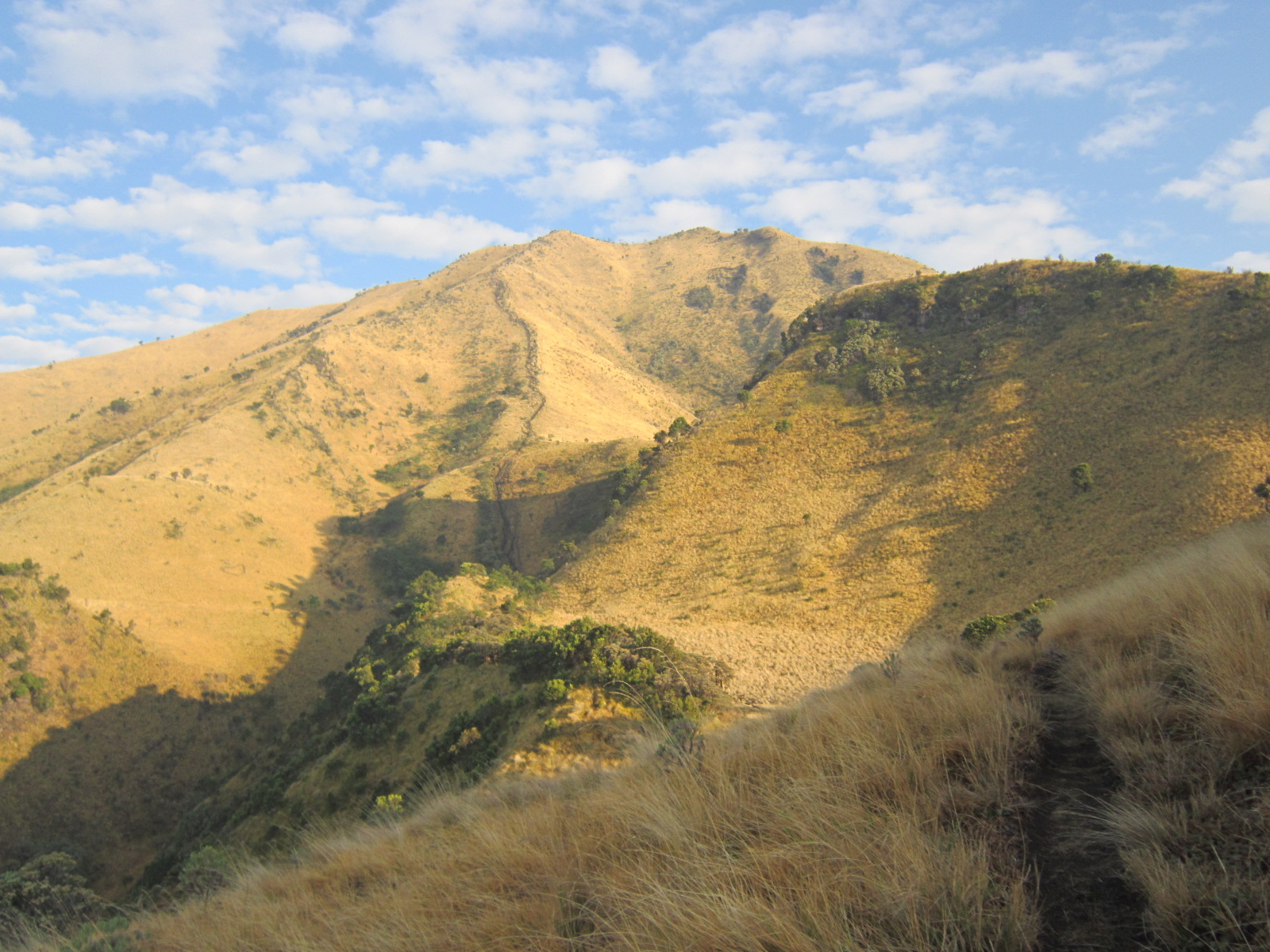 Design Photography: Second Savanna On Top Merbabu - Gallery Wallpaper ...