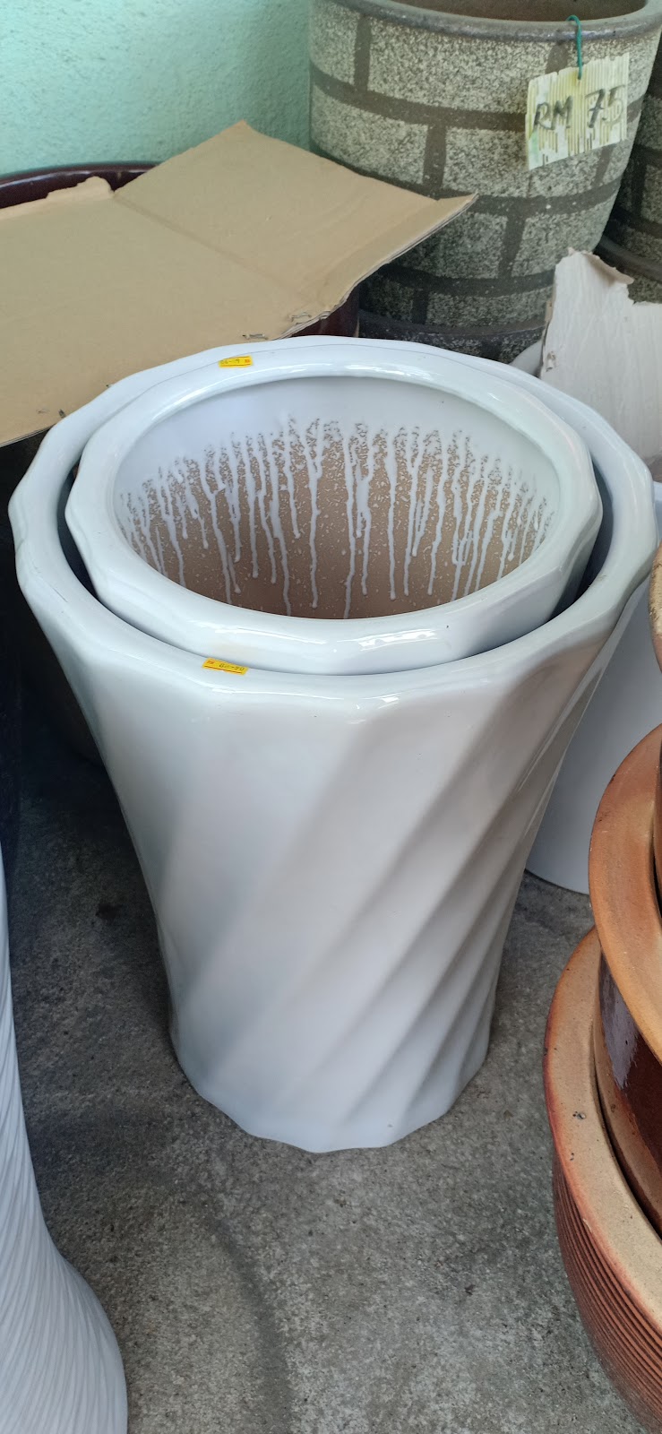 BUMI HIJAU NURSERY (002279488-D): Pasu Viral