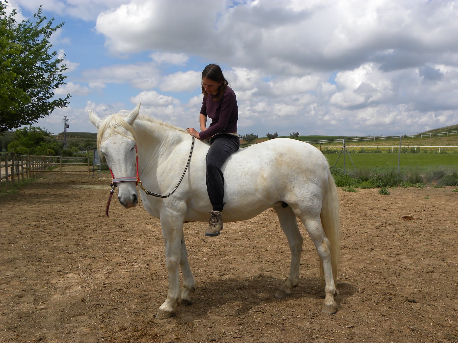 Preparación física del jinete y la amazona para la Monta Natural: ¿ Por ...