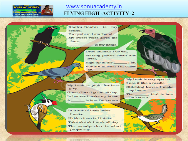 SONU ACADEMY: FLYING HIGH - ACTIVITY