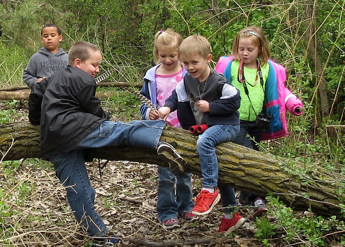 Our Kindergarten Adventure