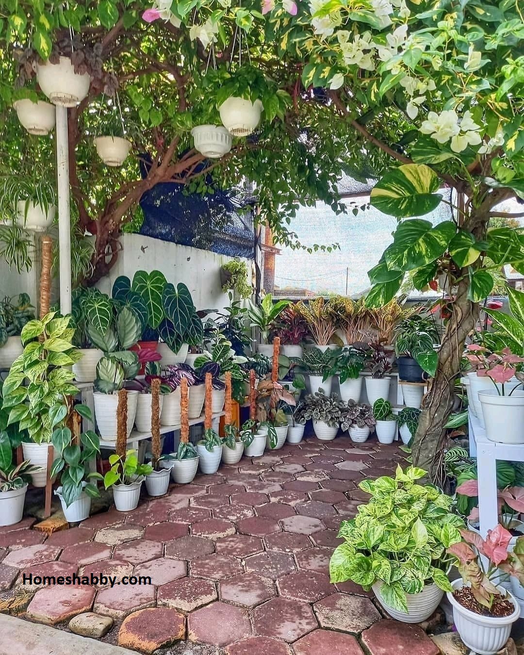 7 Ide Menata Taman Kecil Dengan Pot Yang Cantik, Solusi Lahan Sempit ...