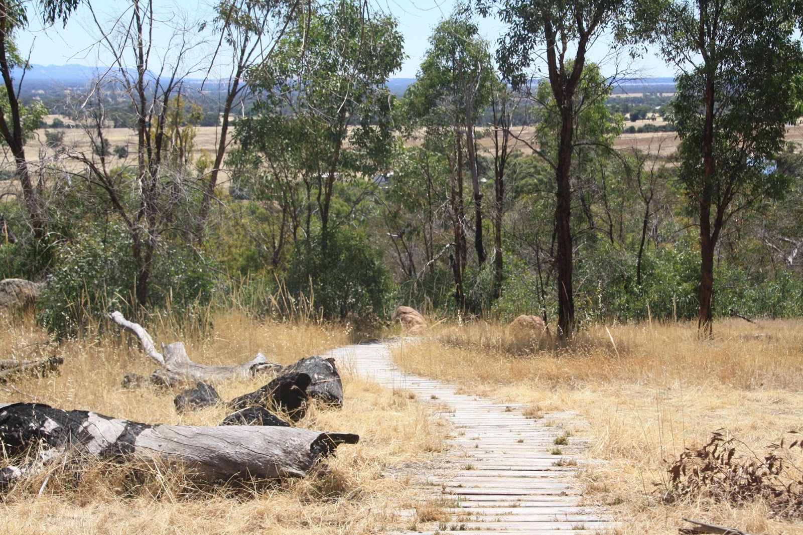 RDO Melbourne: Bunjil Shelter