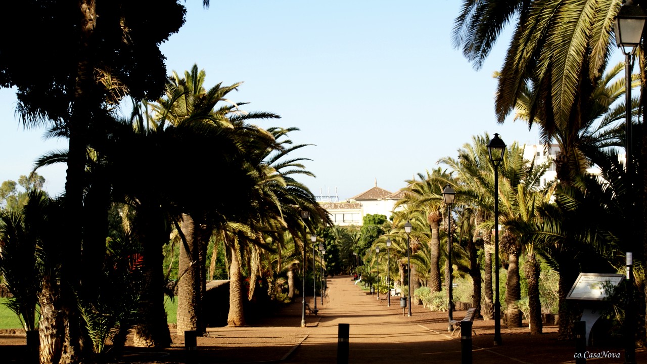 Alles rund um Teneriffa und Casa Nova: Echsen im Taoro Parque