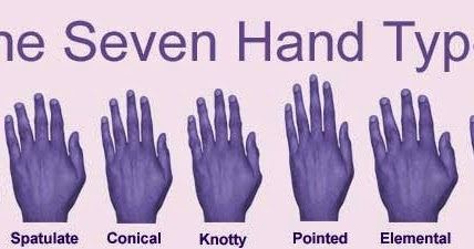 Palmistry Guide: The seven types of hands (PART 1)