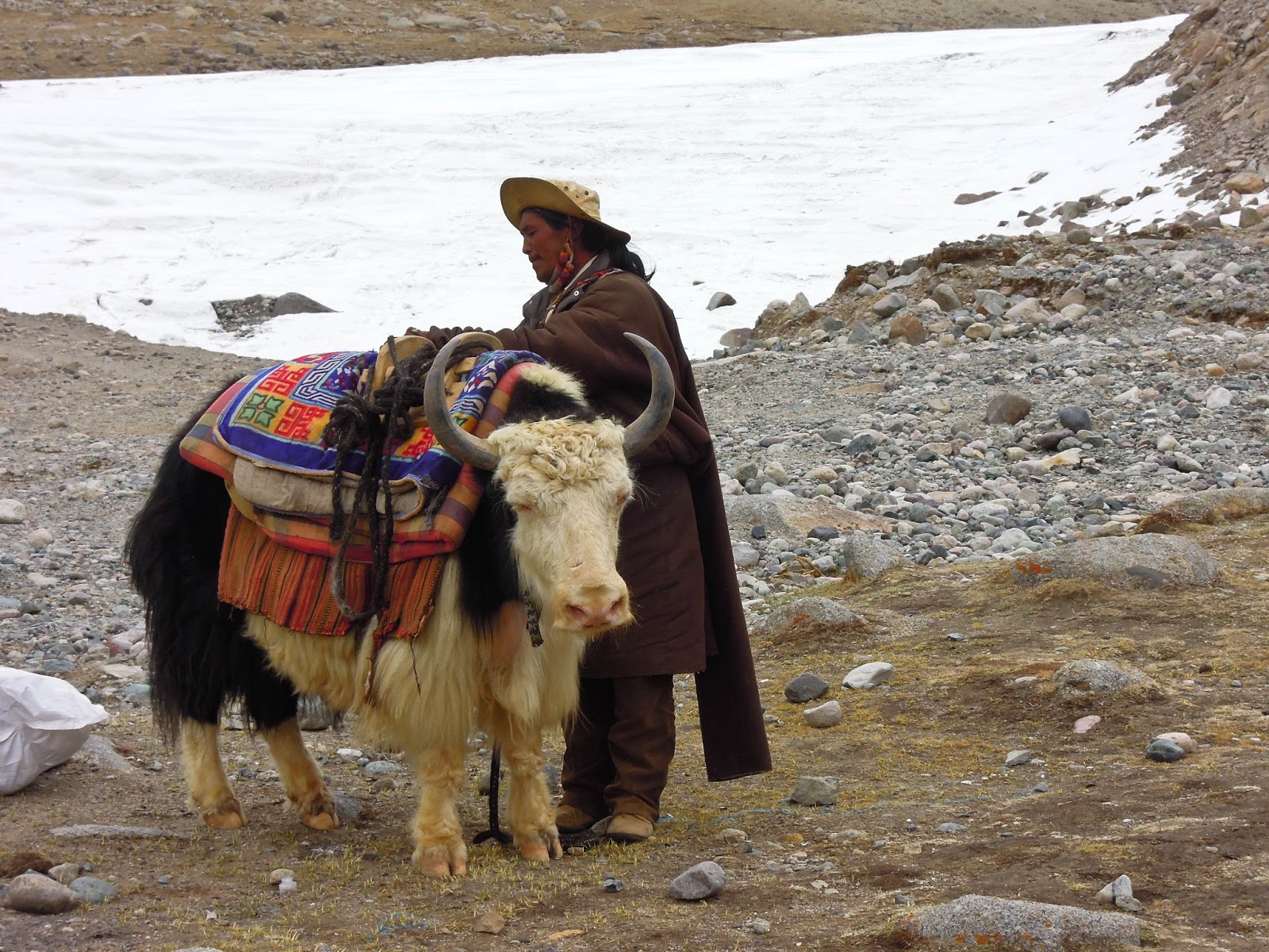HariHarji: Chapter 5: Pilgrimage to Mount Kailash