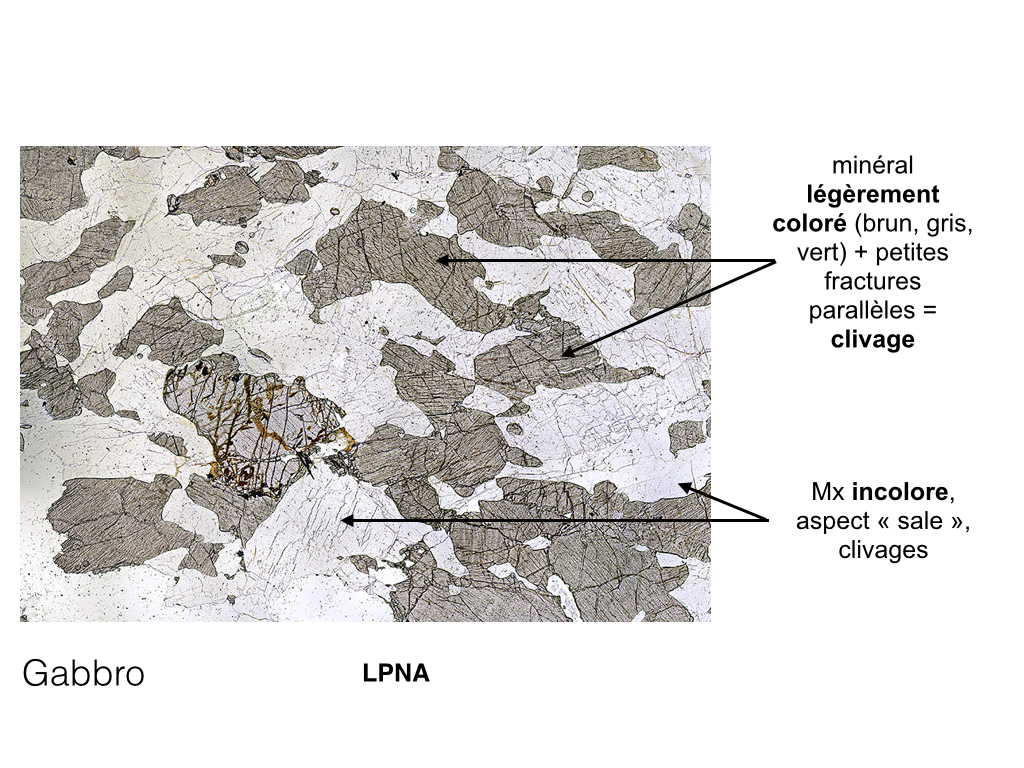 svtOlycée: Le gabbro : une roche magmatique plutonique de la croûte ...
