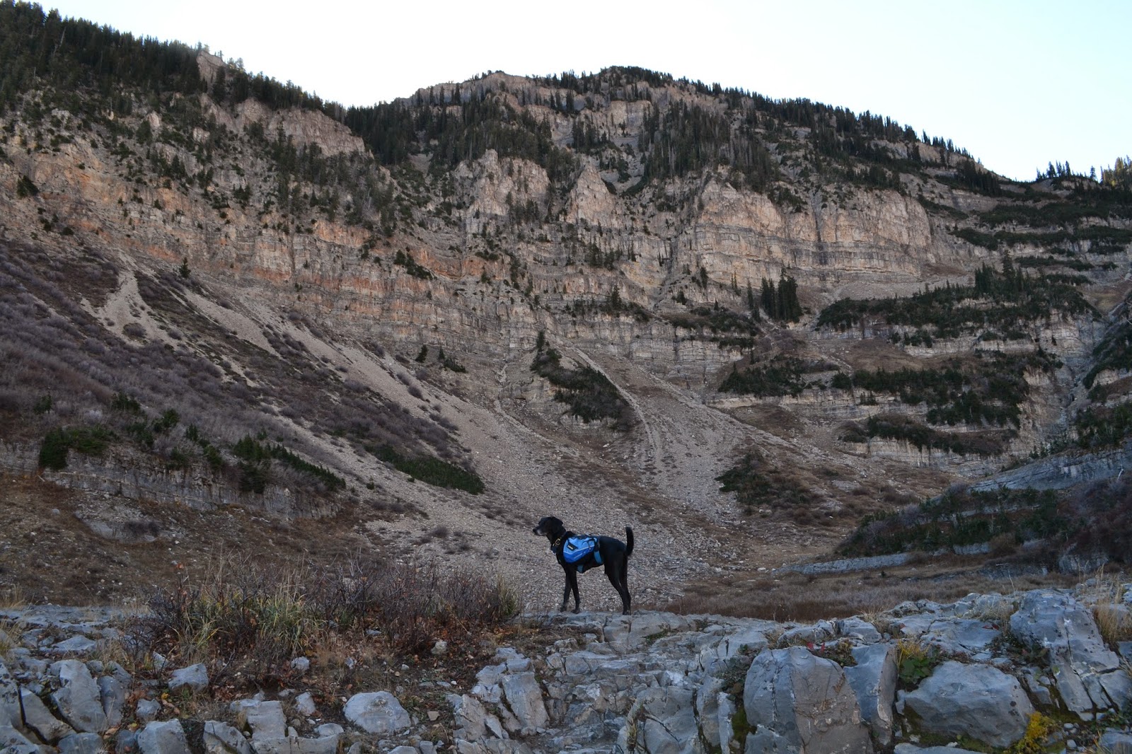Katie Wanders : Mount Timpanogos, Utah - Hiking to the summit on the ...