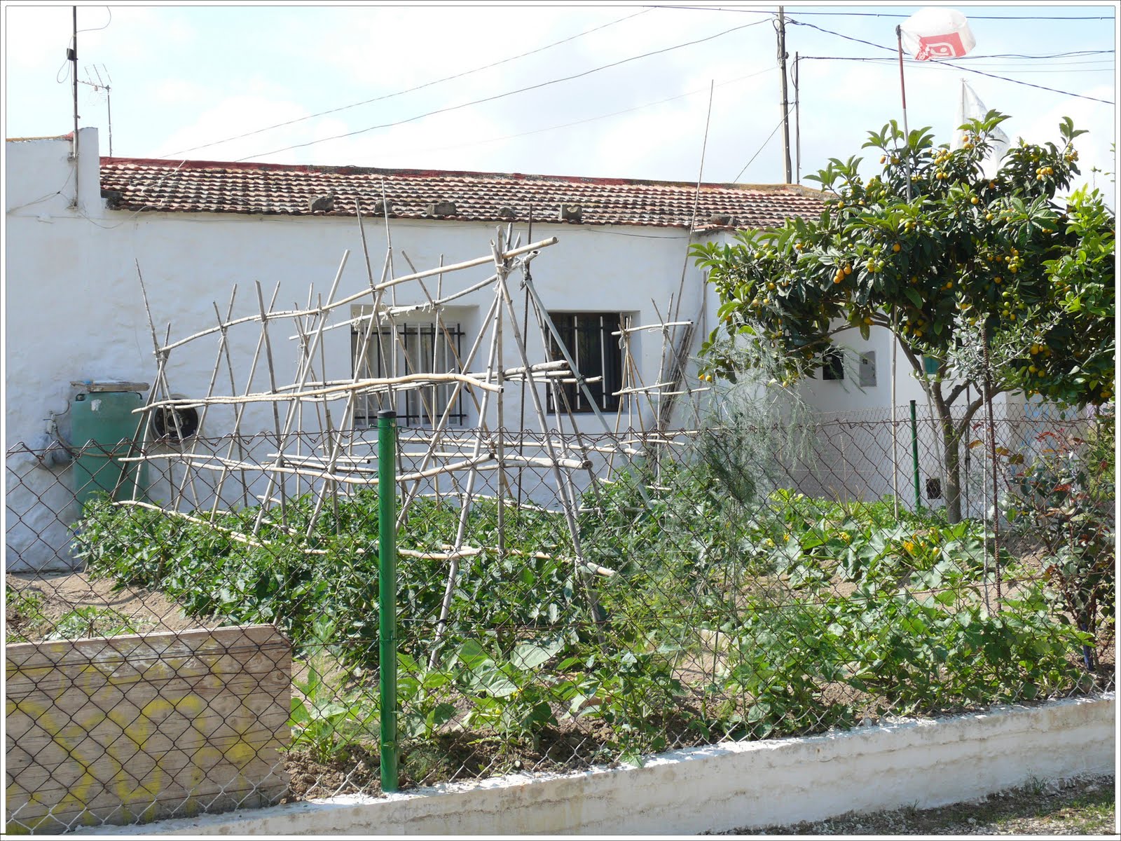 Alicante - Rutas Urbanas: Playa de la Albufereta - Tossal de Manises ...