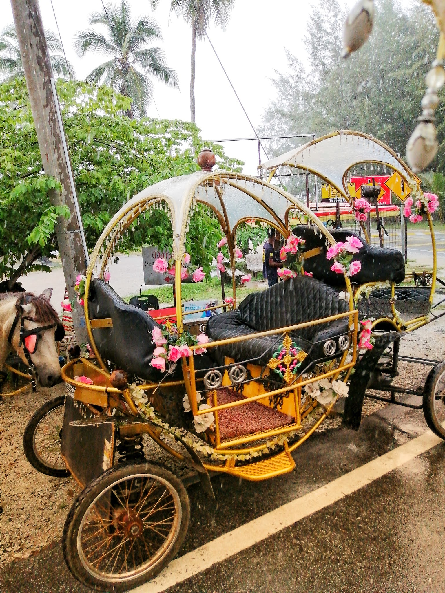 Drawbridge Terengganu | Pantai Teluk Ketapang Naik Kuda. - Fatihah Fazlin