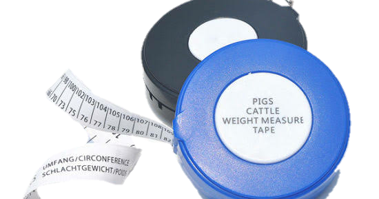 Cattle Weight Measurement Tape ।। पशुओ का वजन मापने का एक कमाल का ...