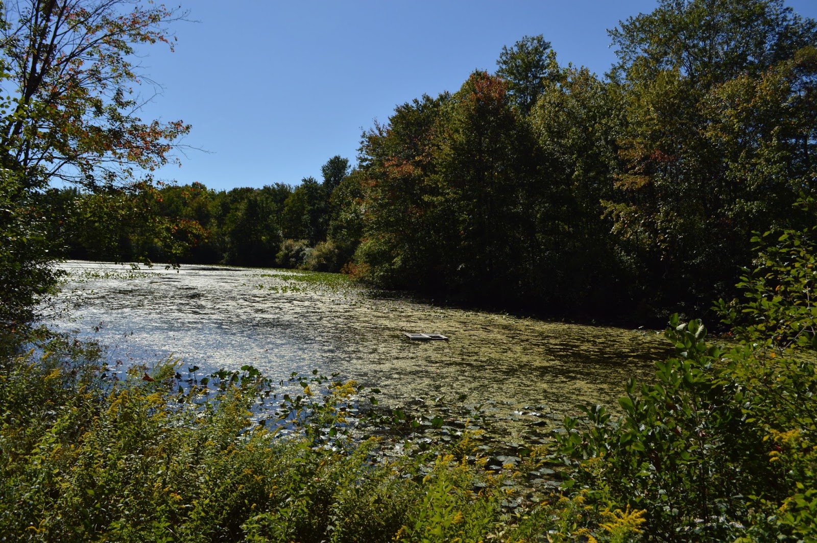 GardenStatePics.com: New Jersey and You - Perfect Together, Liberty and ...