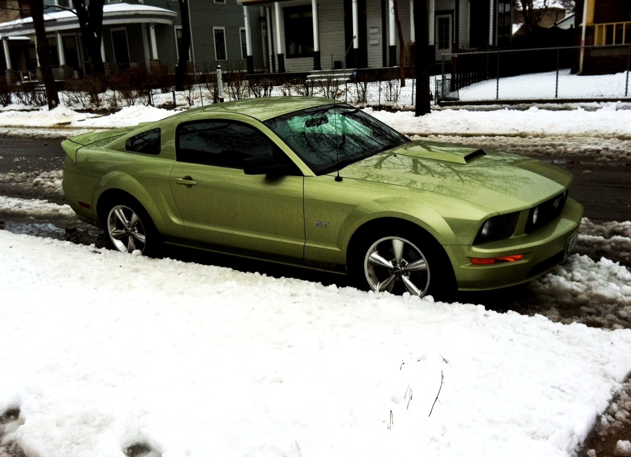 AutomoZeal: Plum Crazy or Legend Lime?