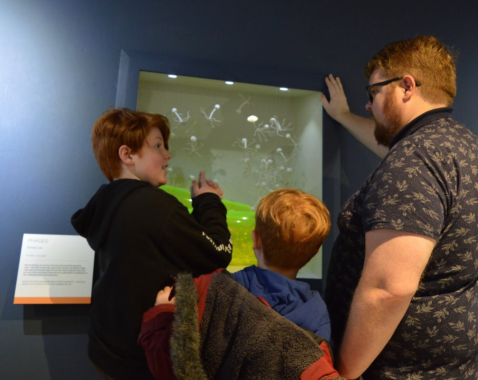 10 Reasons to Visit the Eden Project in Winter | North East Family Fun