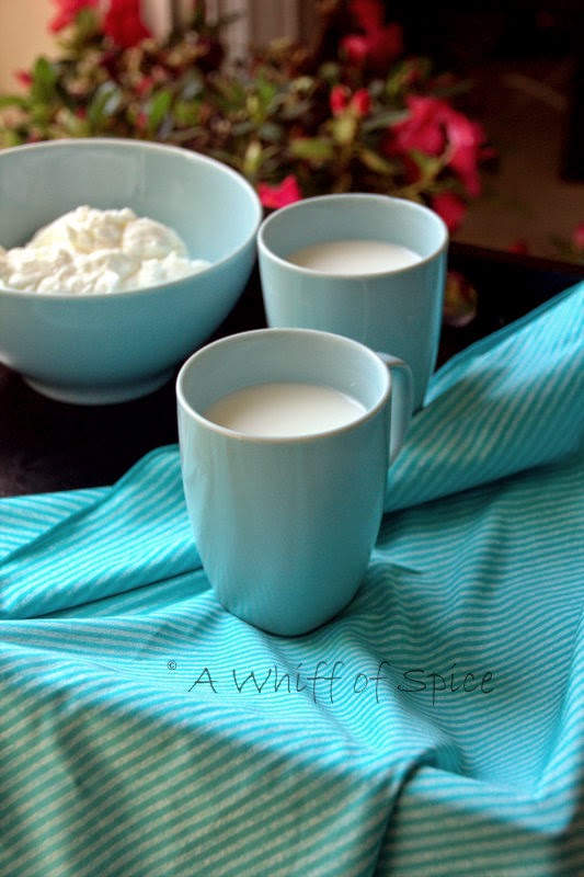 Summer Cooler 1: Ayran - A Turkish Yogurt Drink
