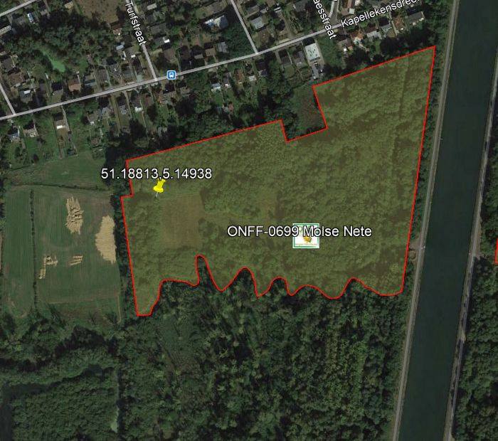 ONFF Blog: ONFF-0699 Molse Nete