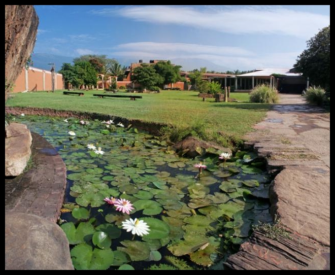 SwamyVerse: In the Lap of the Master – Boundless Grace for all Beings!