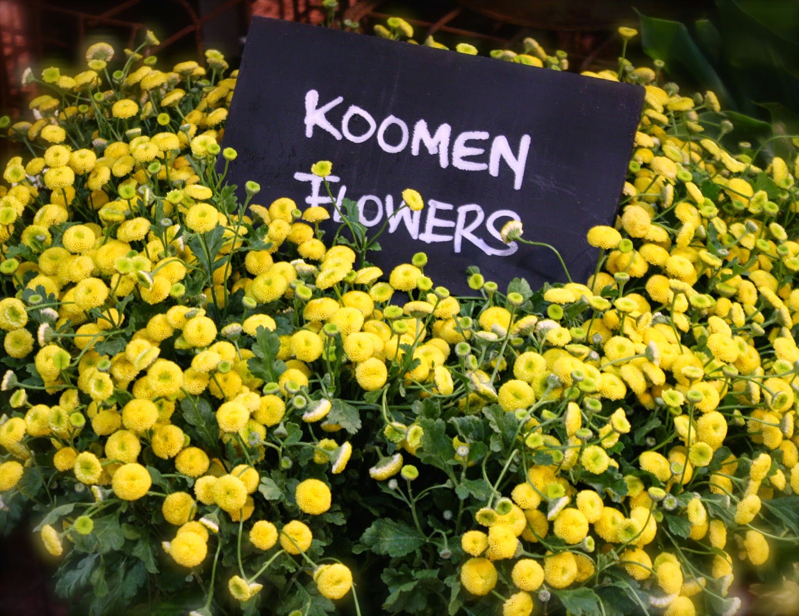 Natalie's Sketchbook