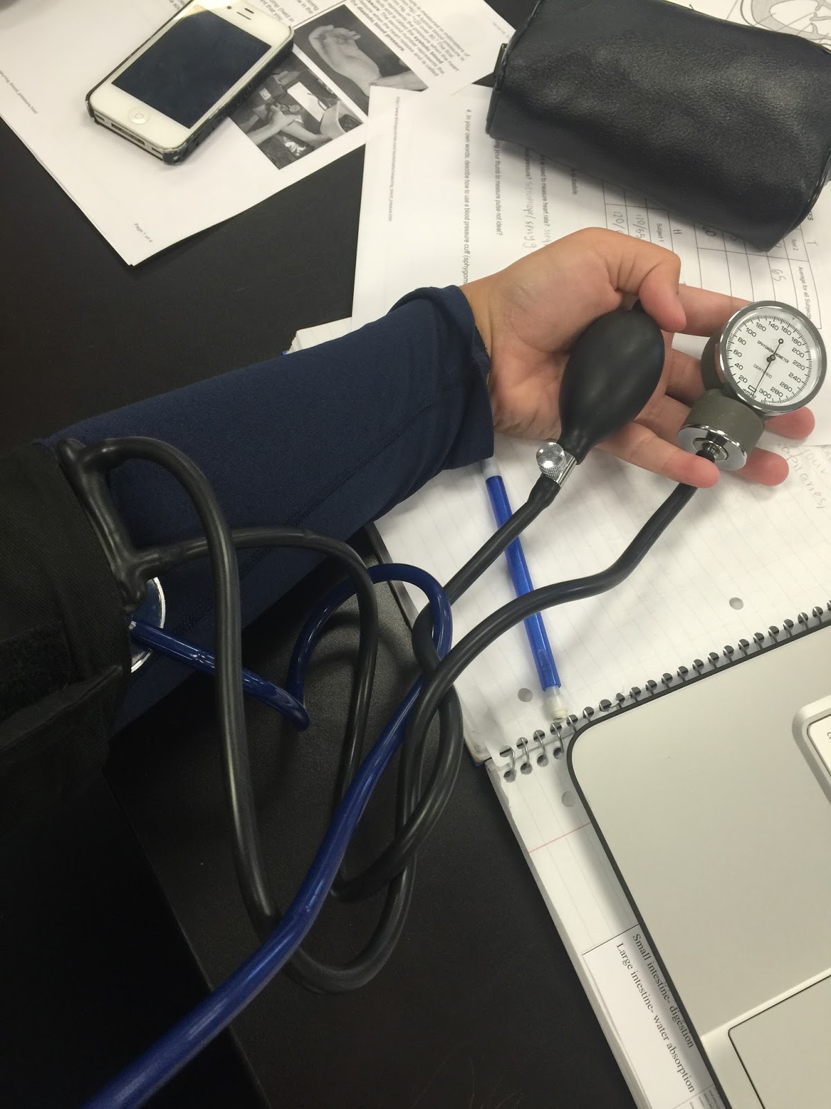 Anatomy and Physiology: Blood Pressure Lab