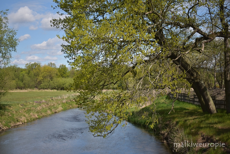 Park Krajobrazowy Doliny Bystrzycy