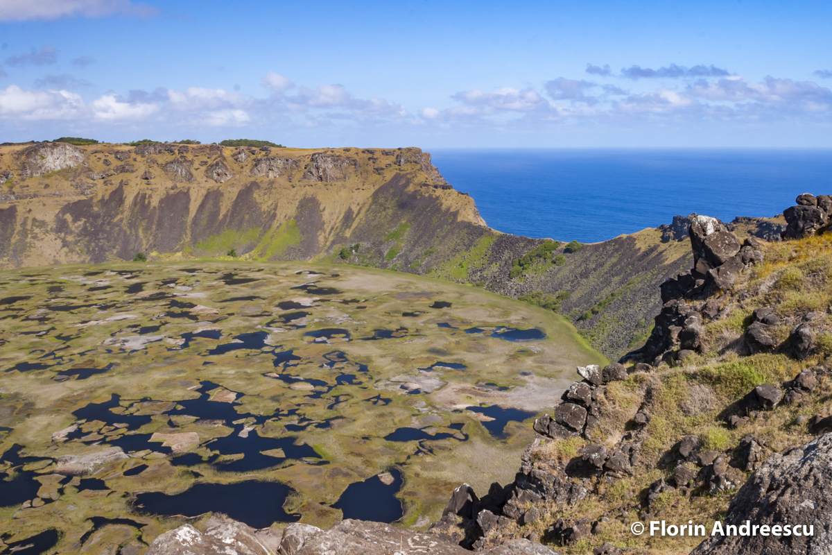 Florin Andreescu: Rapa Nui = Insula Pastelui
