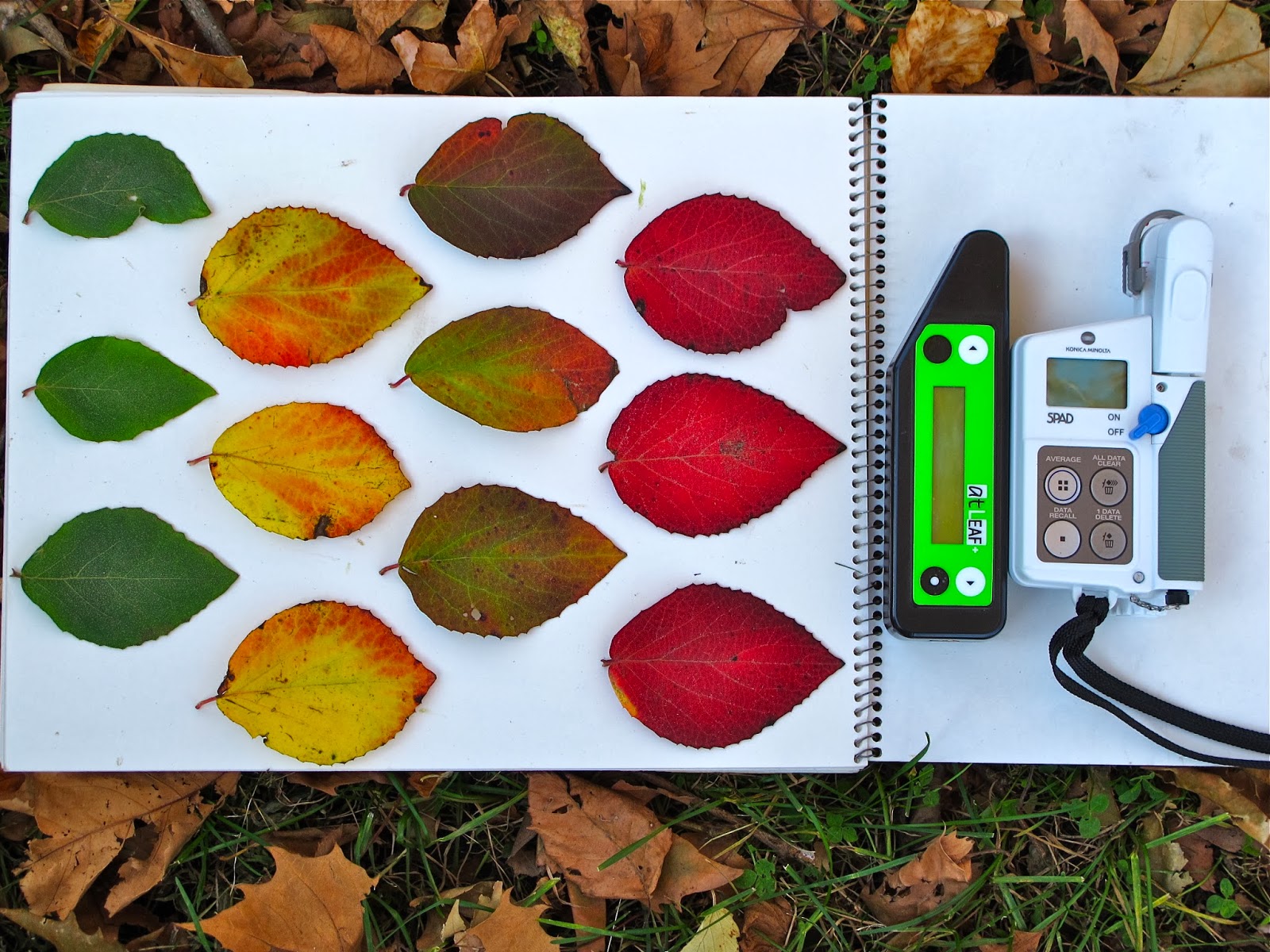 Climate change research in partnership with Thoreau: Using handheld ...