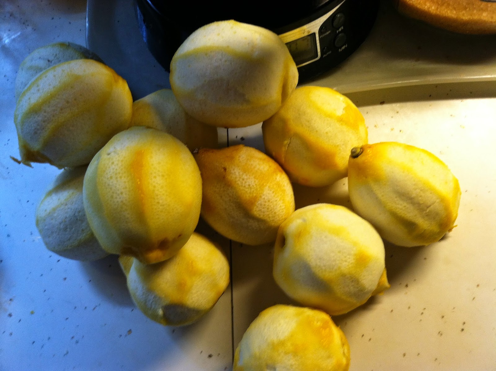 Ingredients for Life: When Life Gives you Lemon’s…get zesty!