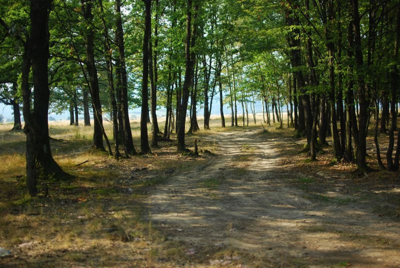 undeva la mijloc: Mânăstirea Tismana, inima Olteniei - Gorj